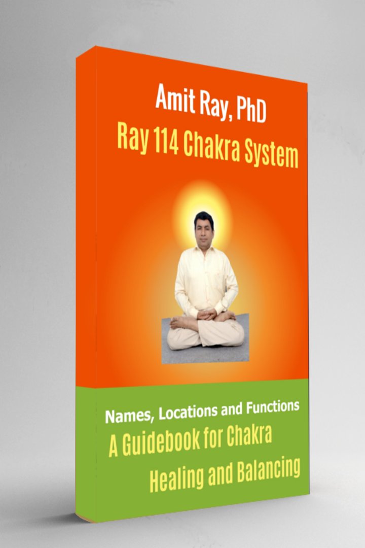 Ray 114 Chakra System Names, Locations and Functions Book By Amit Ray