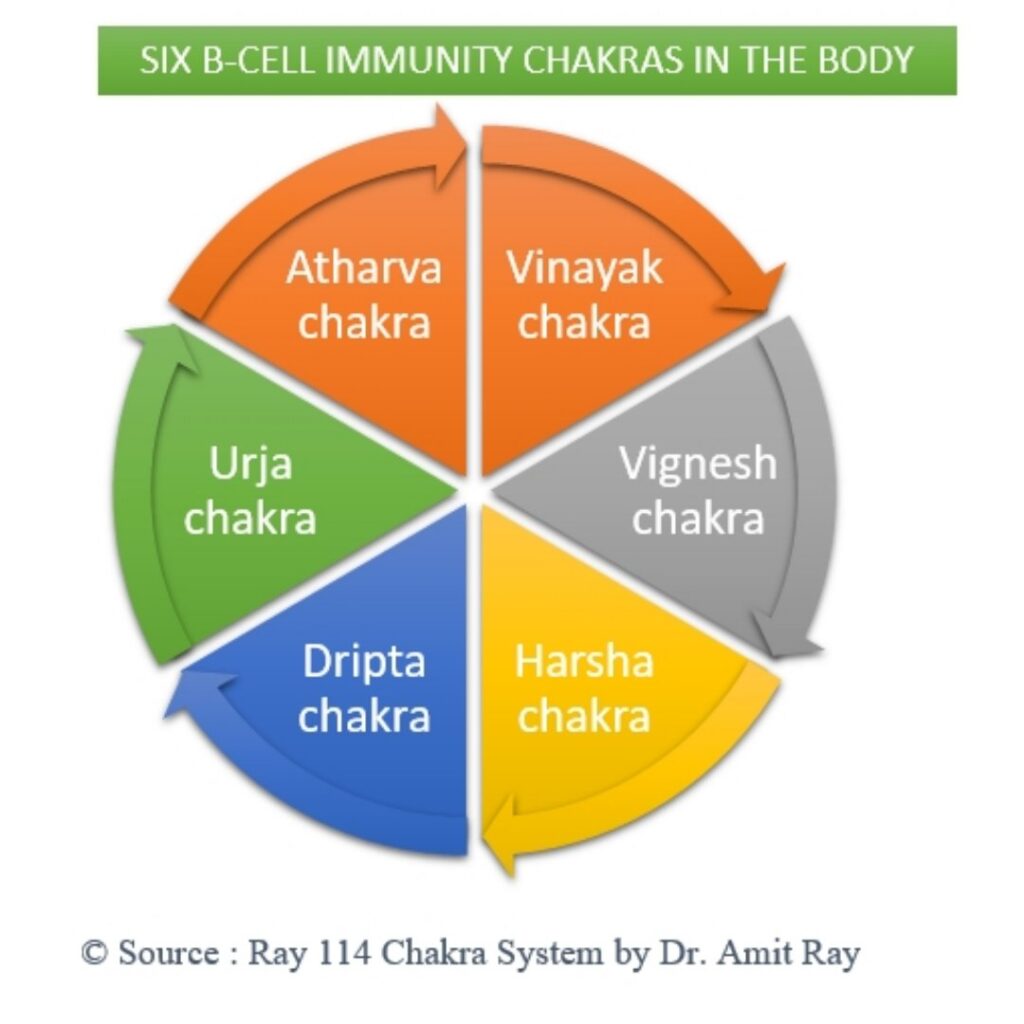 Ray 114 Chakra System for Immunity Boosting and Healing - Amit Ray