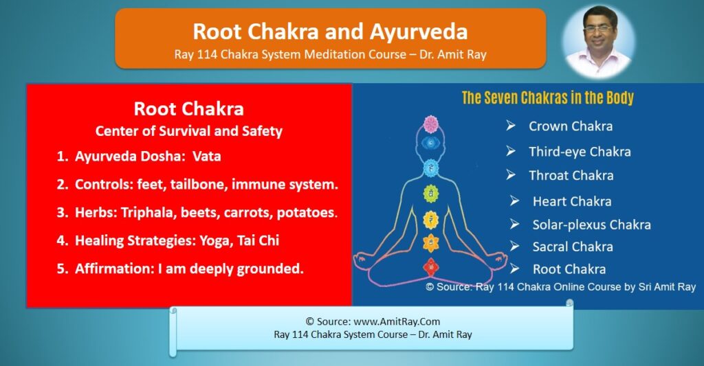 Ayurveda and the 7 Chakras: A Step By Step Guide - Sri Amit Ray