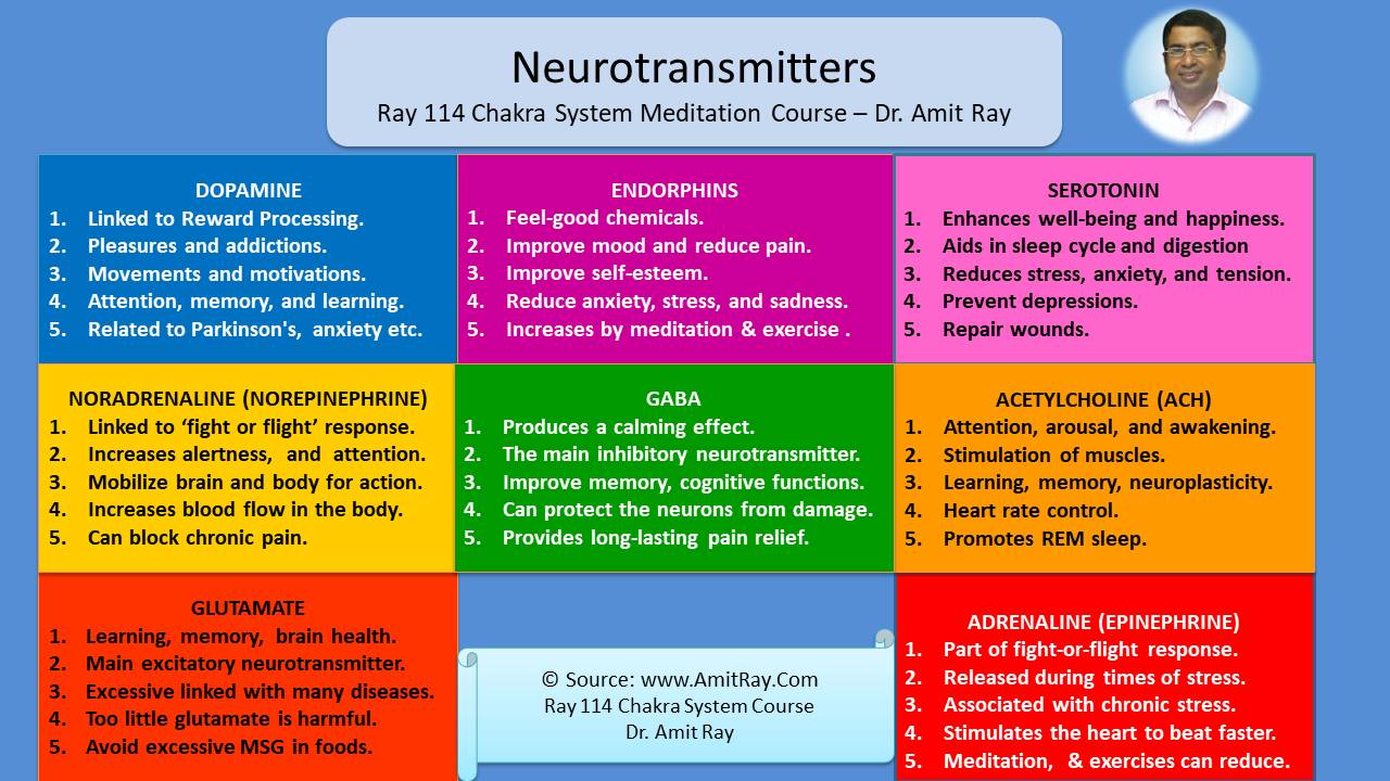 Neurotransmittersandtheirfunctions