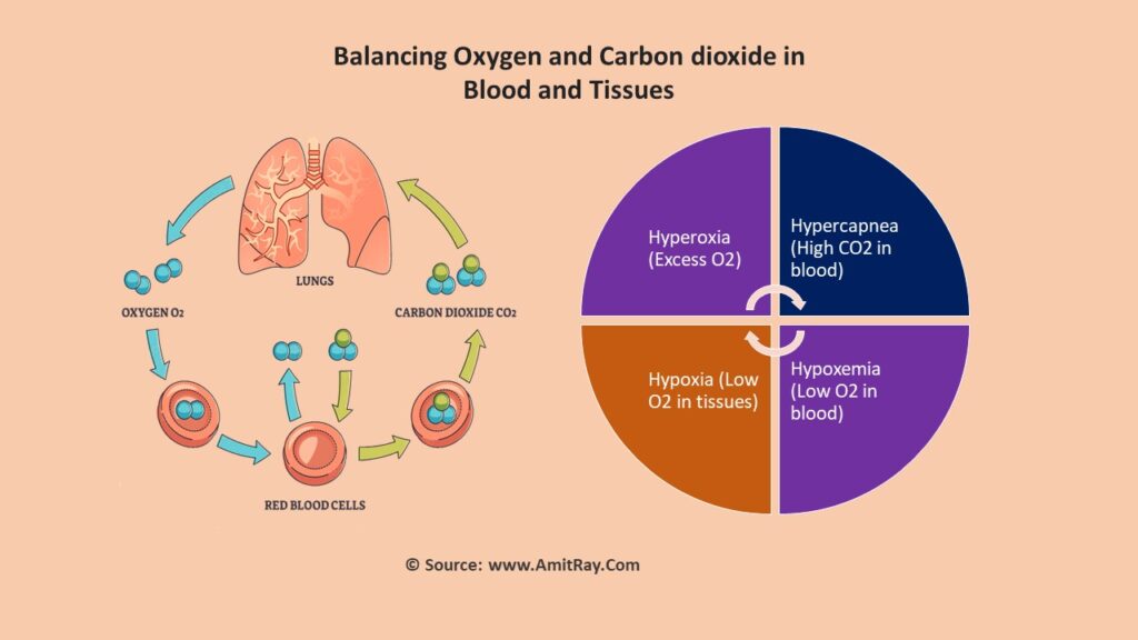Slow Breathing Yoga Pranayam to Reduce Oxidative Stress - Sri Amit Ray