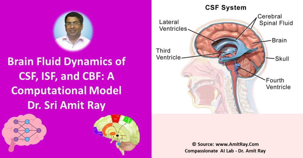 Brain Fluid Dynamics of CSF, ISF, and CBF: A Computational Model