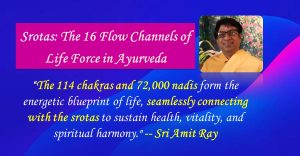 Srotas: The Flow Channels of Life Force in Ayurveda - Sri Amit Ray