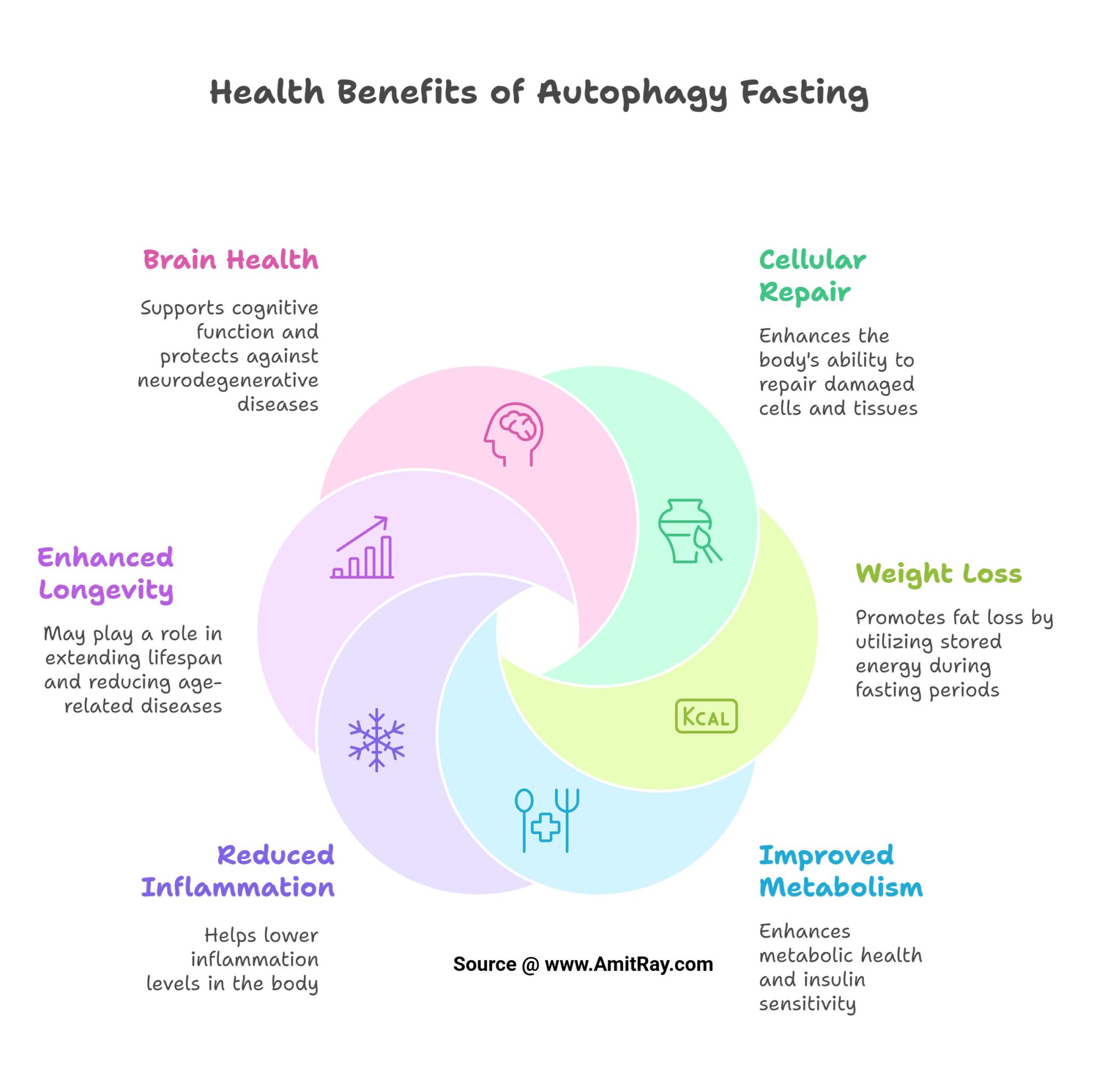 Autophagy Fasting: Definition, Time Hour, Benefits, and Side effects